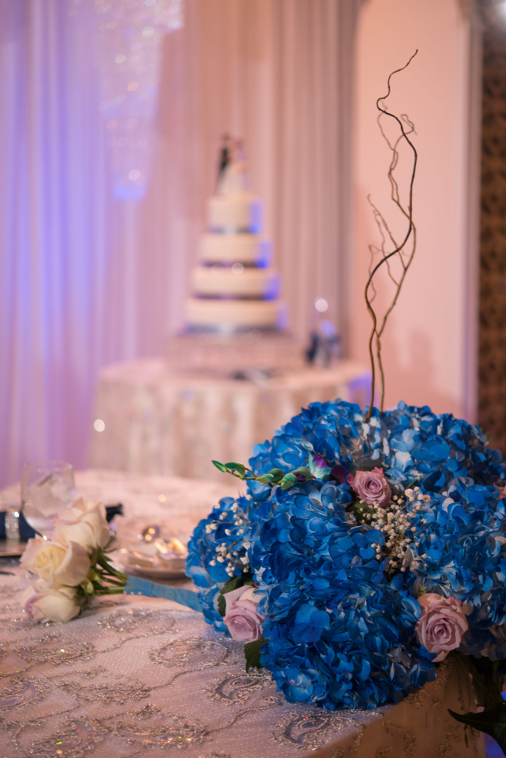 Wedding Gallery - Oasis Banquet Hall